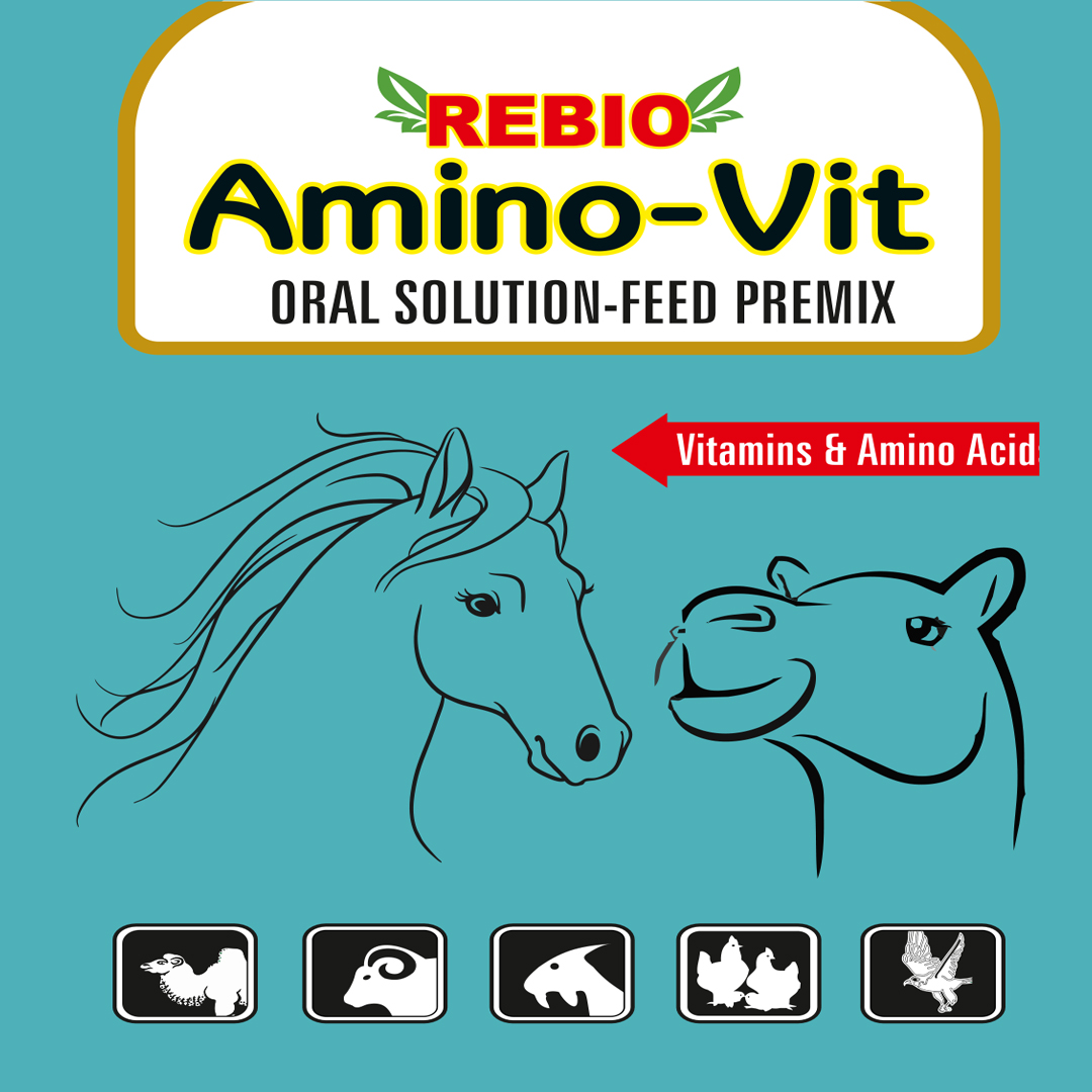 Services - Al Fanar Vet